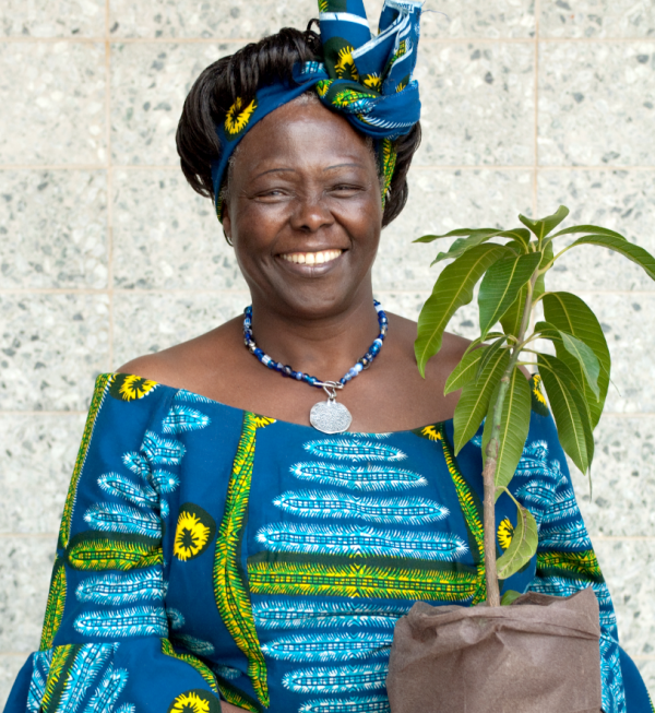 A Book Review about an Amazing Woman and Role Model - Wangari Maathai ...