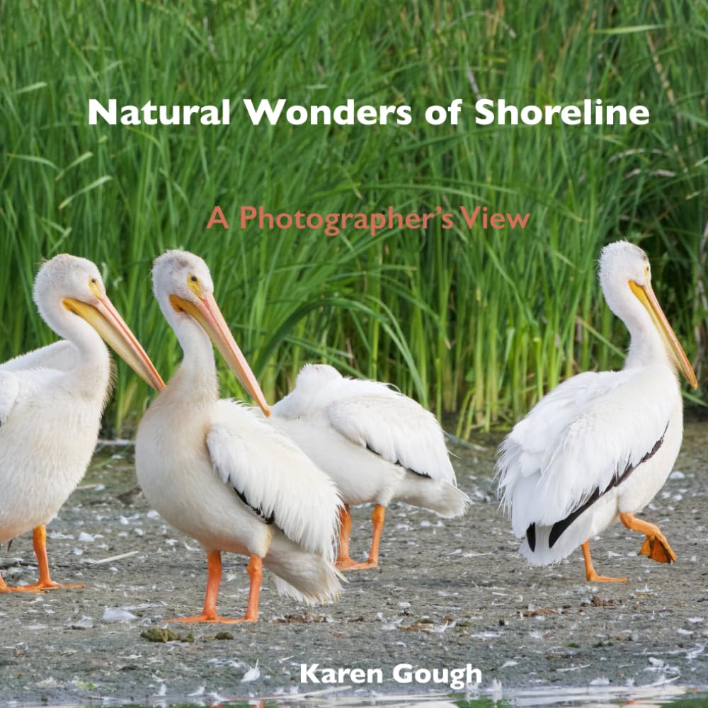 UPDATED: How To Publish A Photography Book Through Amazon KDP - The ...